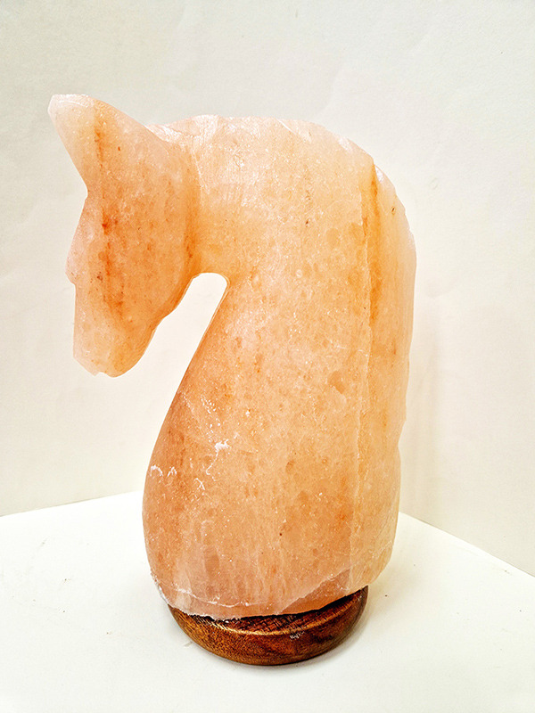 Solna lučka Konj | Fitnesshop.si